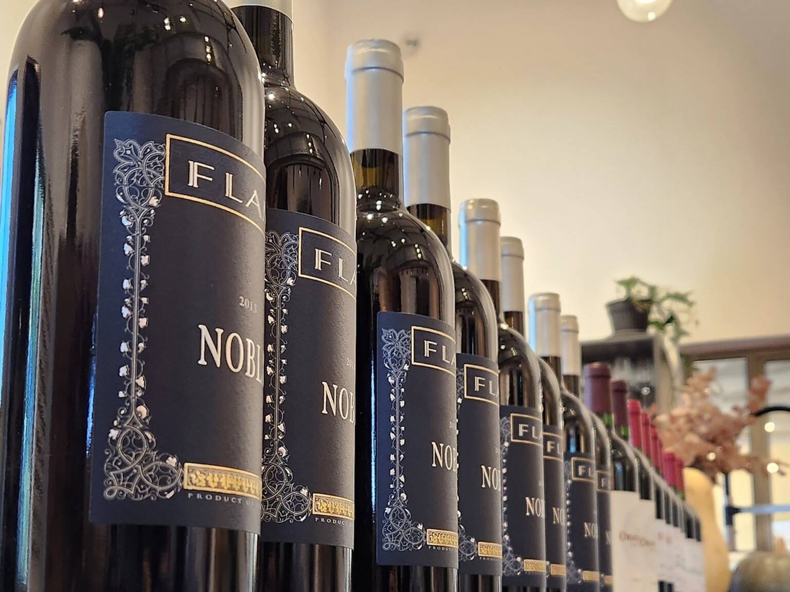 The best Israeli wine and wineries from the north to the south