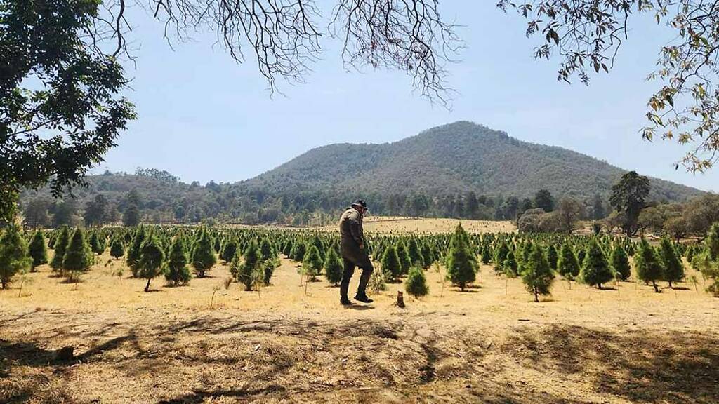 Rancho La Mesa, un destino muy cerca de la CDMX para familia, amigos y ...
