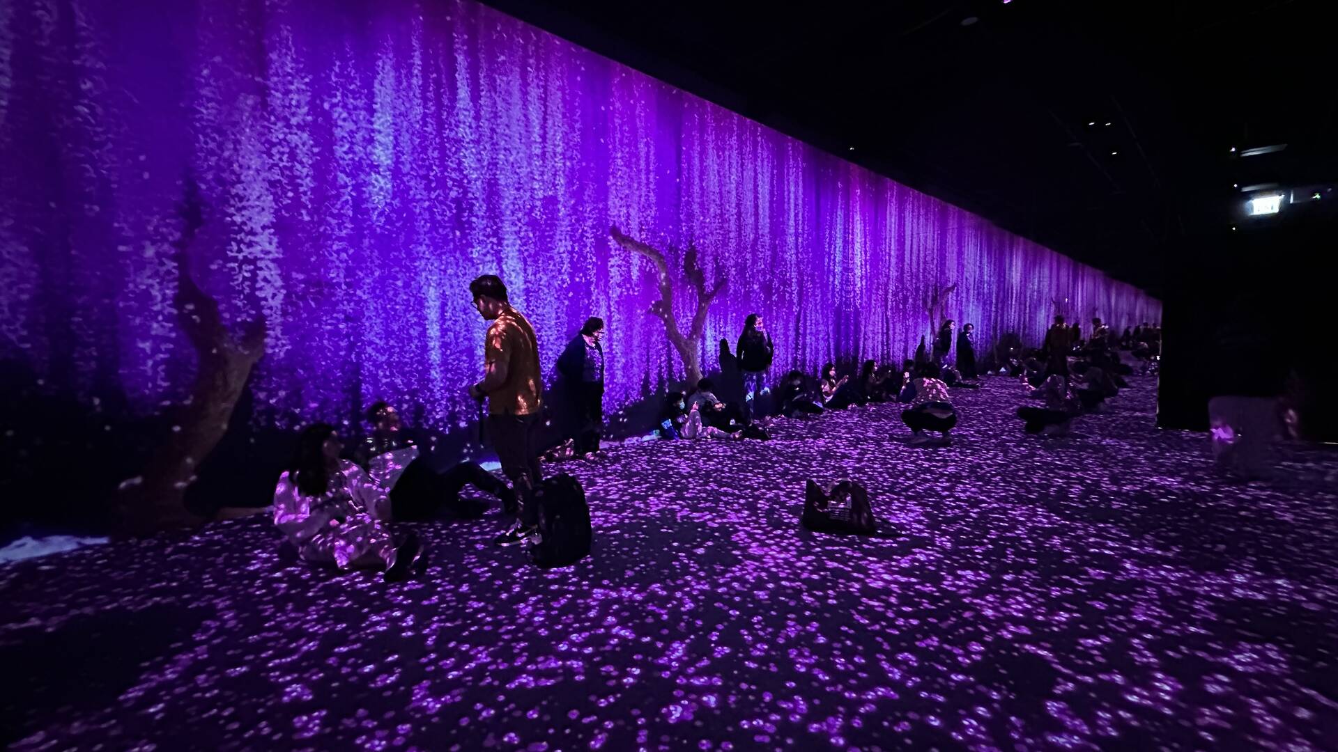 The immersive Arte M digital art exhibition officially opens