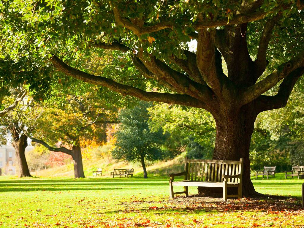 28 Amazing Chicago Parks to Visit in 2023