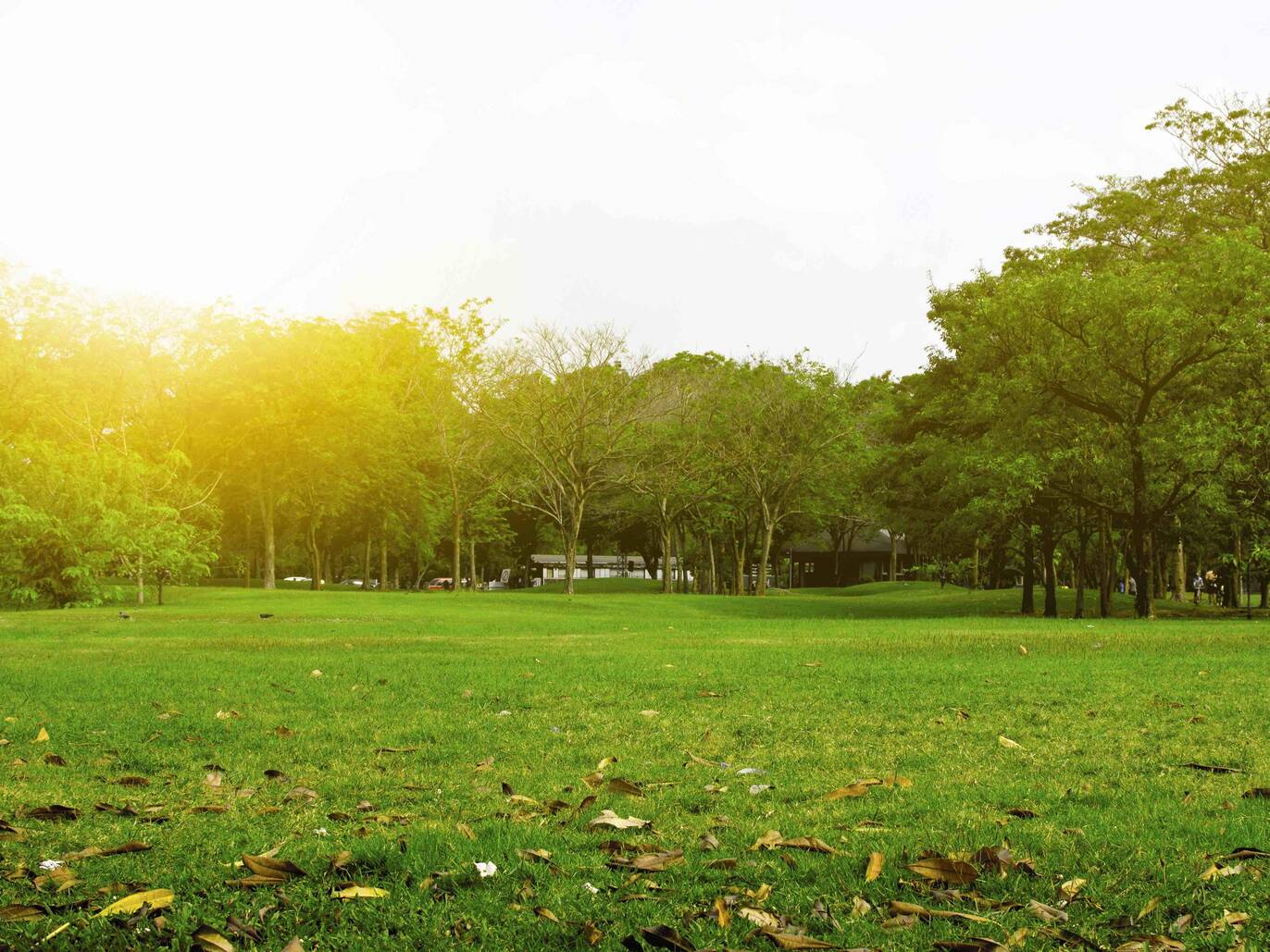 28 Amazing Chicago Parks to Visit in 2023