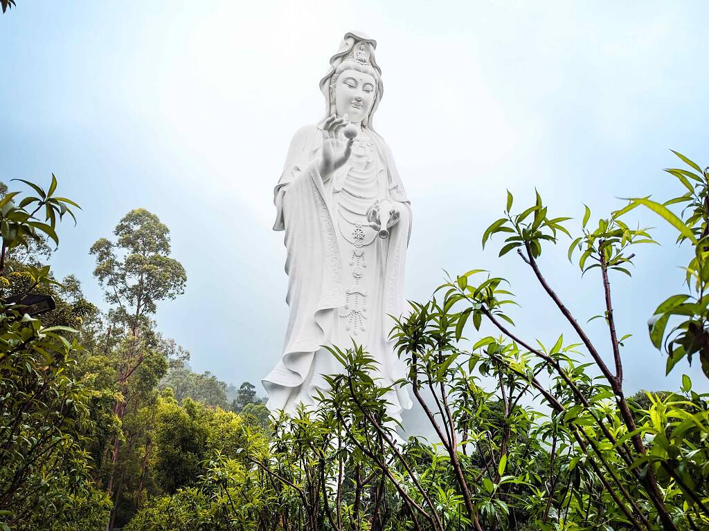 Tsz Shan Monastery: A guide to visiting Tai Po's hidden sanctuary