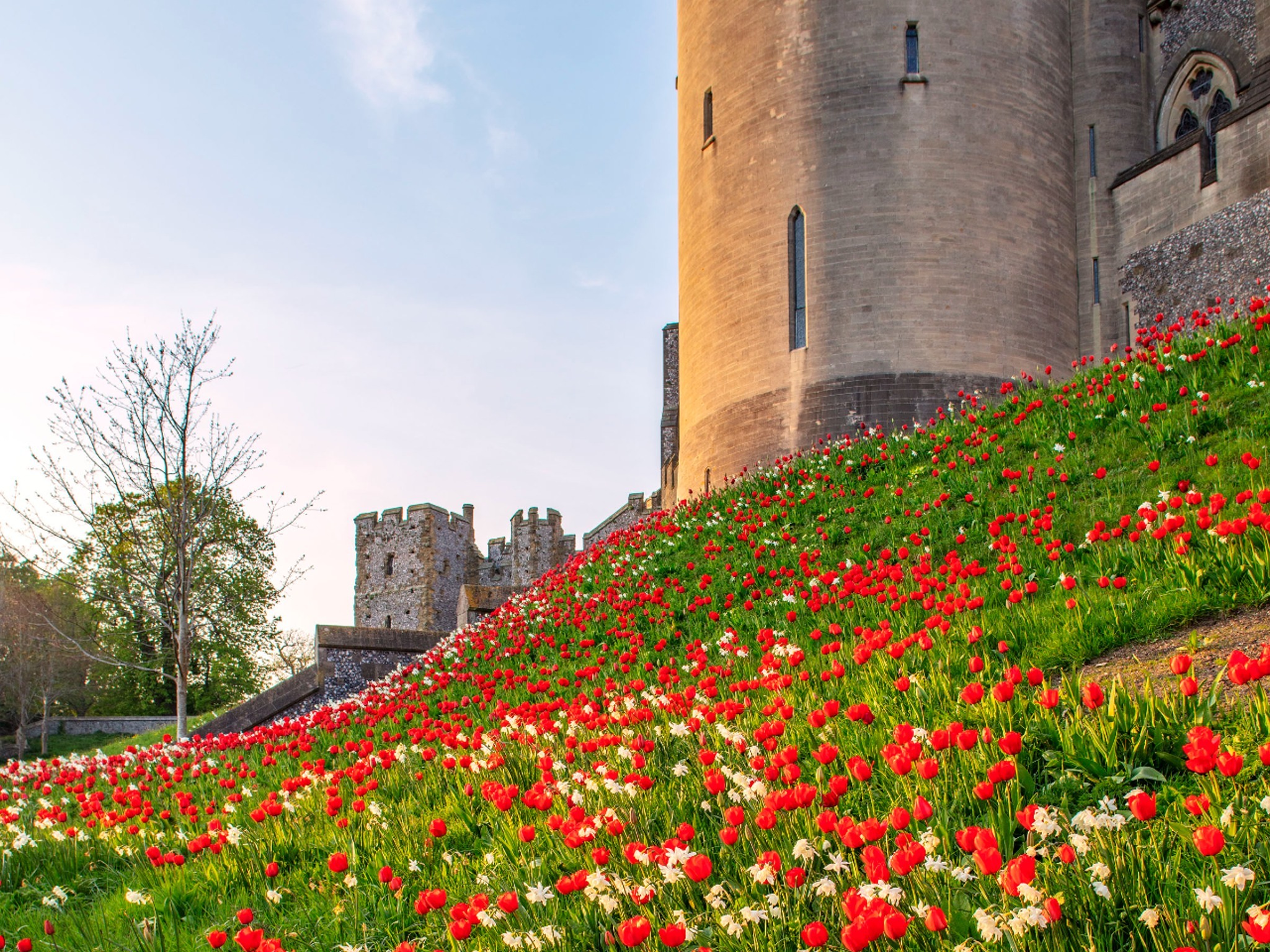 This Fairytale English Castle is Putting on a Tulip Festival Featuring ...