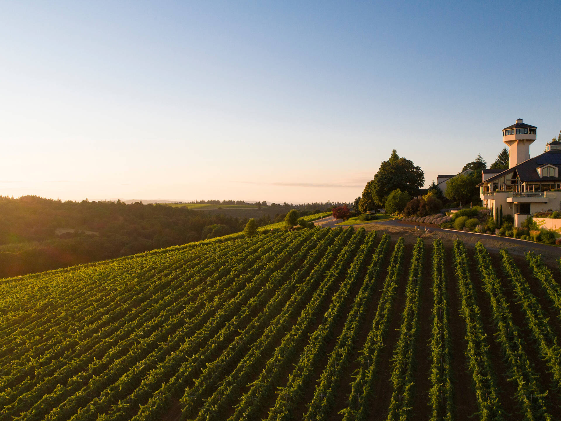 These are the 12 best wine vacations in the U.S. for a crush-worthy ...