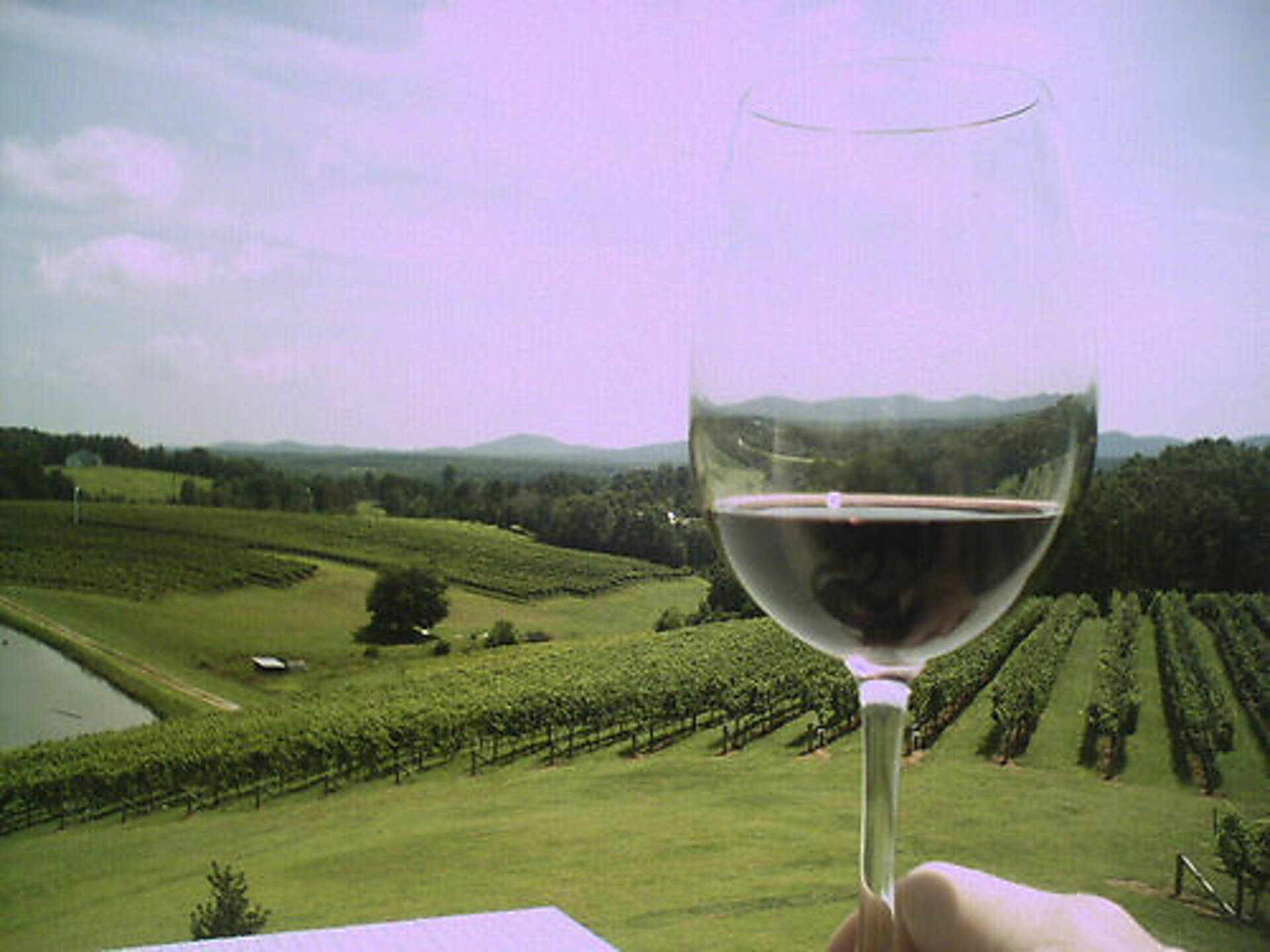 These are the 12 best wine vacations in the U.S. for a crush-worthy ...