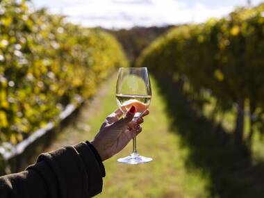 These are the 12 best wine vacations in the U.S. for a crush-worthy ...