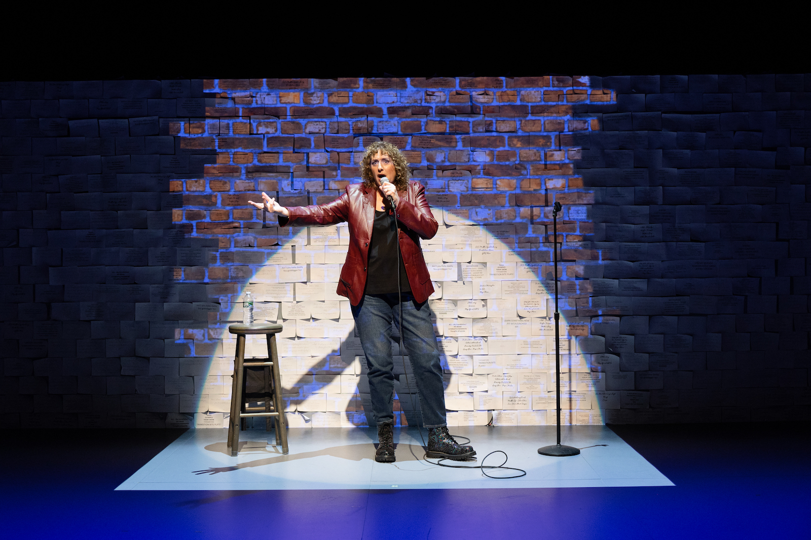 Judy Gold: Yes, I Can Say That! | Theater in New York
