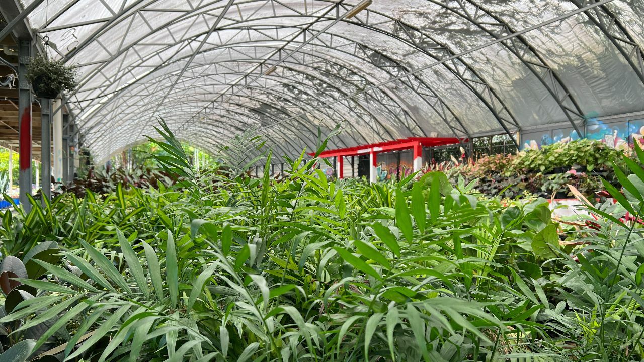 The Nurso | Shopping in Belmont - Gumdale, Brisbane