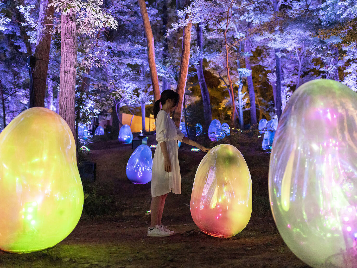 Here are all the amazing teamLab exhibitions in Japan