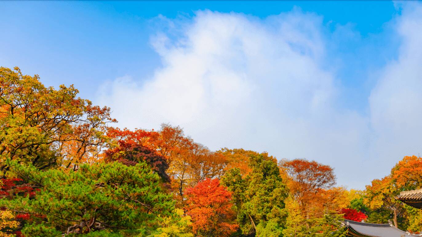 14 Best Things To Do in Seoul in 2025