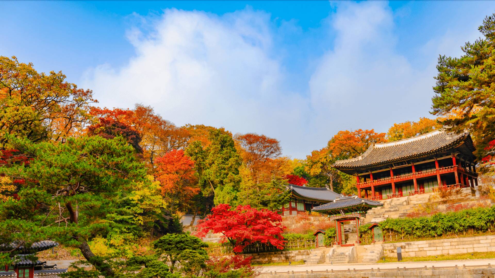 14 Best Things To Do in Seoul in 2025