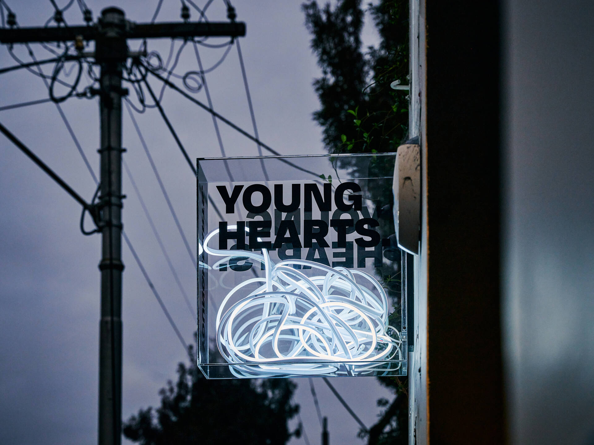 The best pub trivia nights in Melbourne