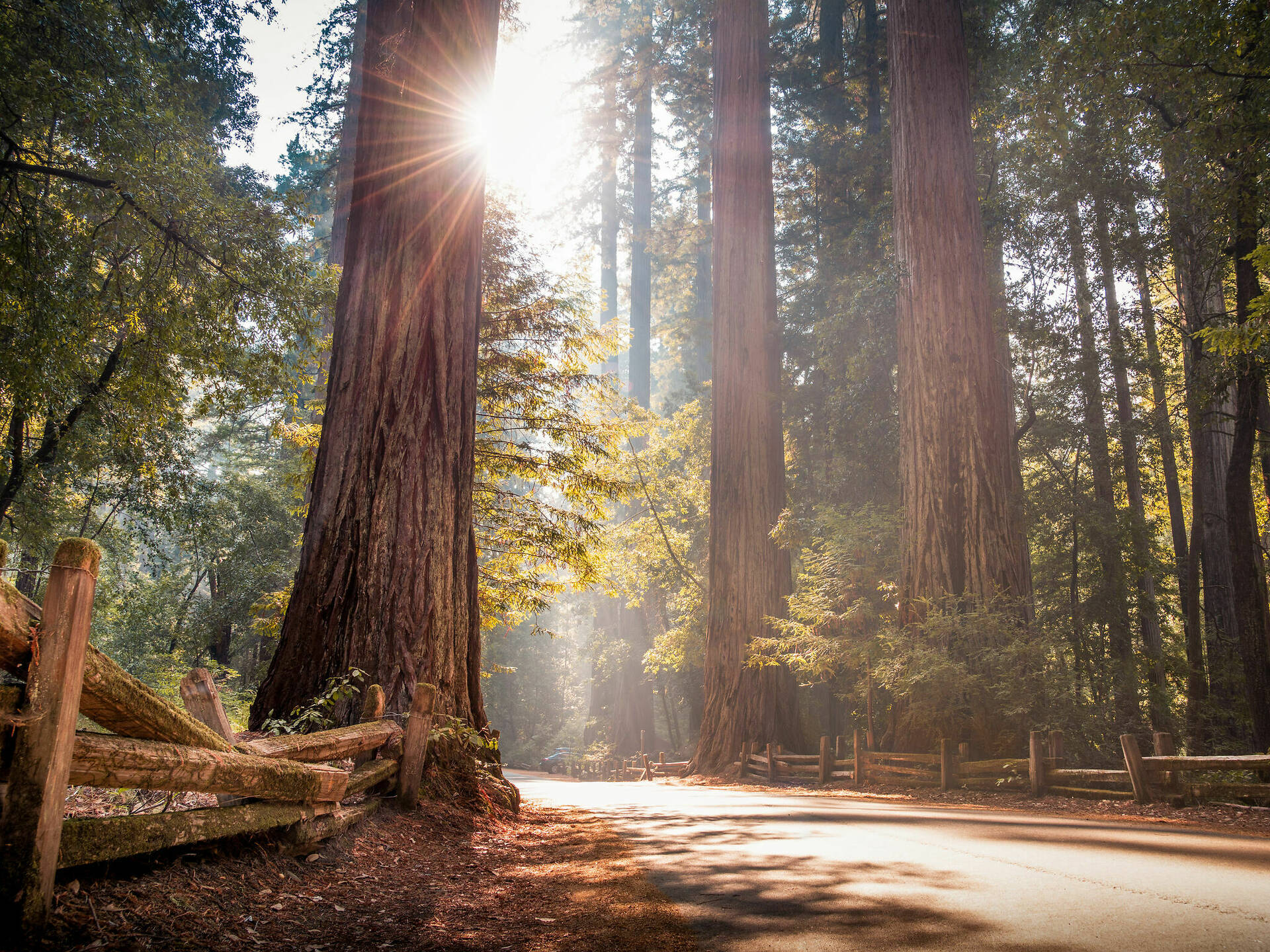 Best Camping in California | 19 Places to Camp Throughout the State