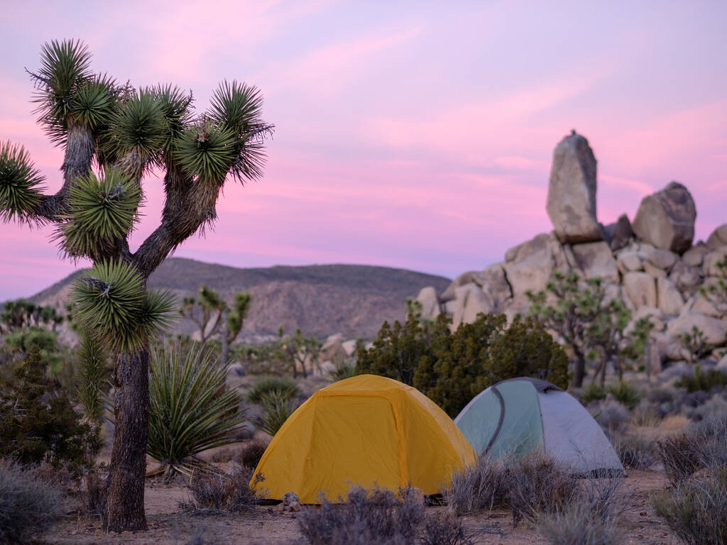 Where to Camp in California | The 18 Best Campgrounds in the State