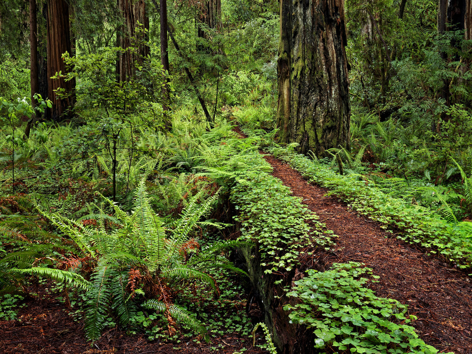 30 Best Things to Do in Sacramento Right Now