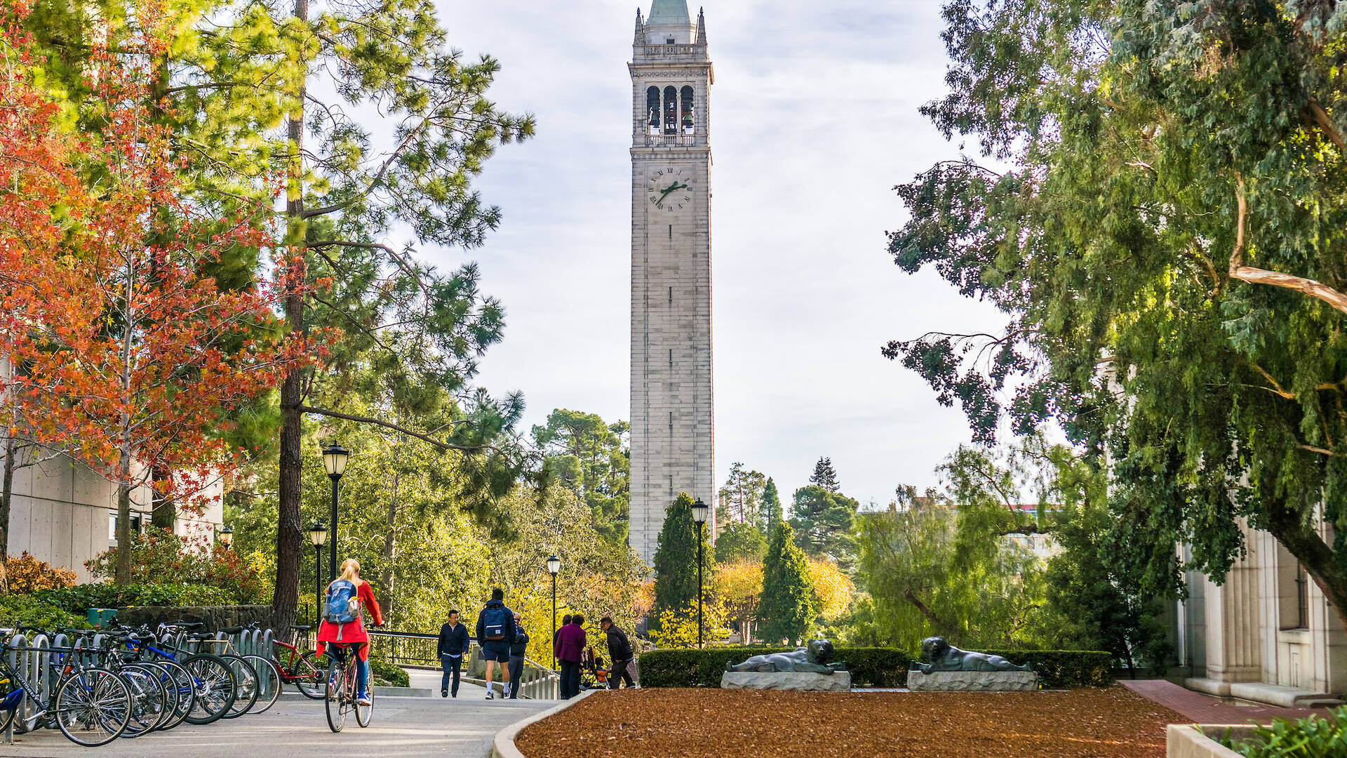 17 Best Day Trips From San Francisco For a Worthy Getaway