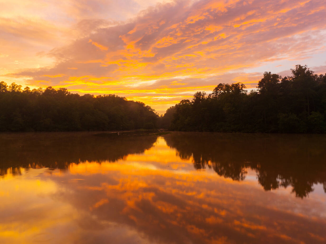 10 Best Hikes in Charlotte, From Parks to Forests