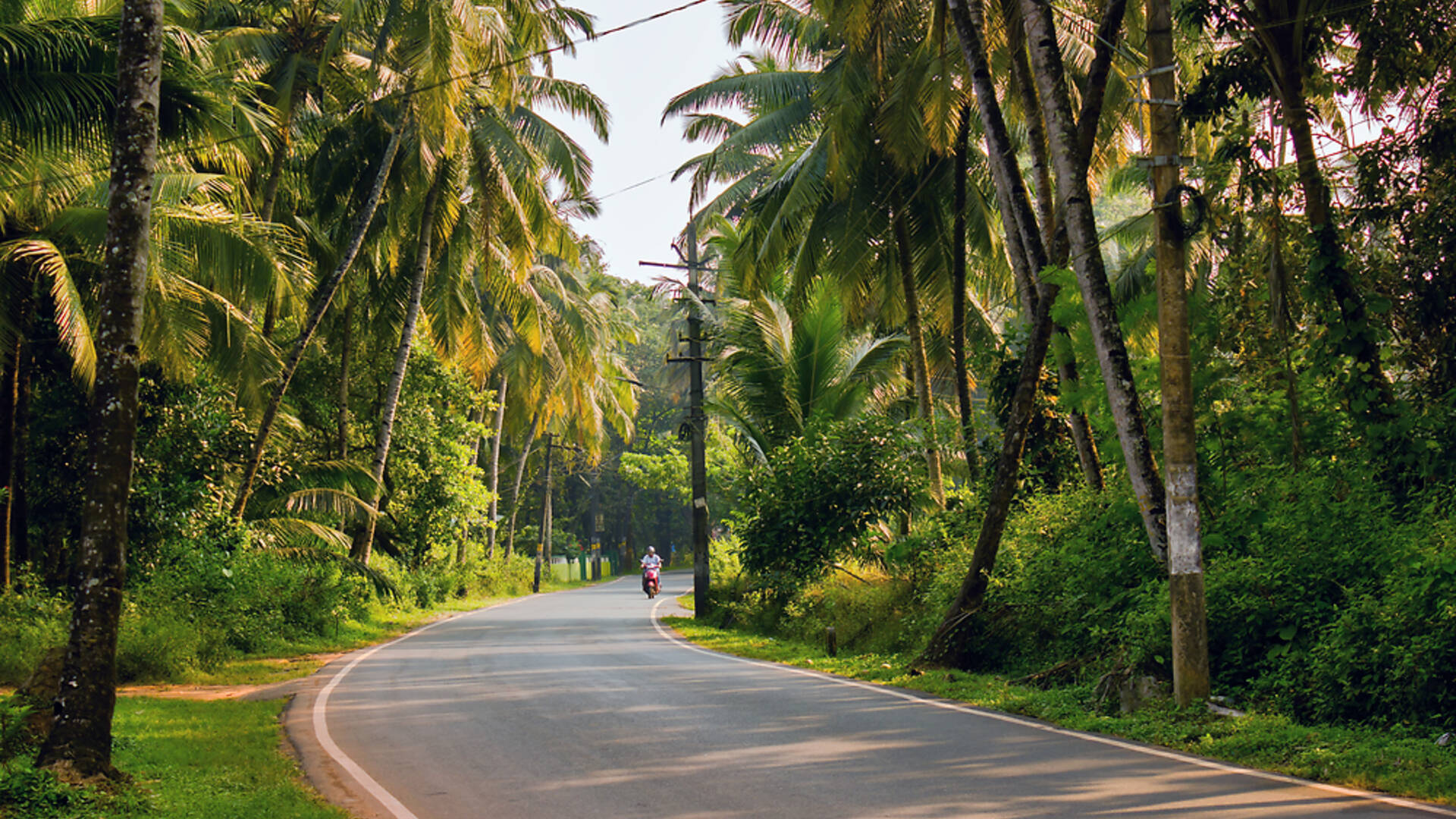 12 Best Road Trips to Take in India in 2023