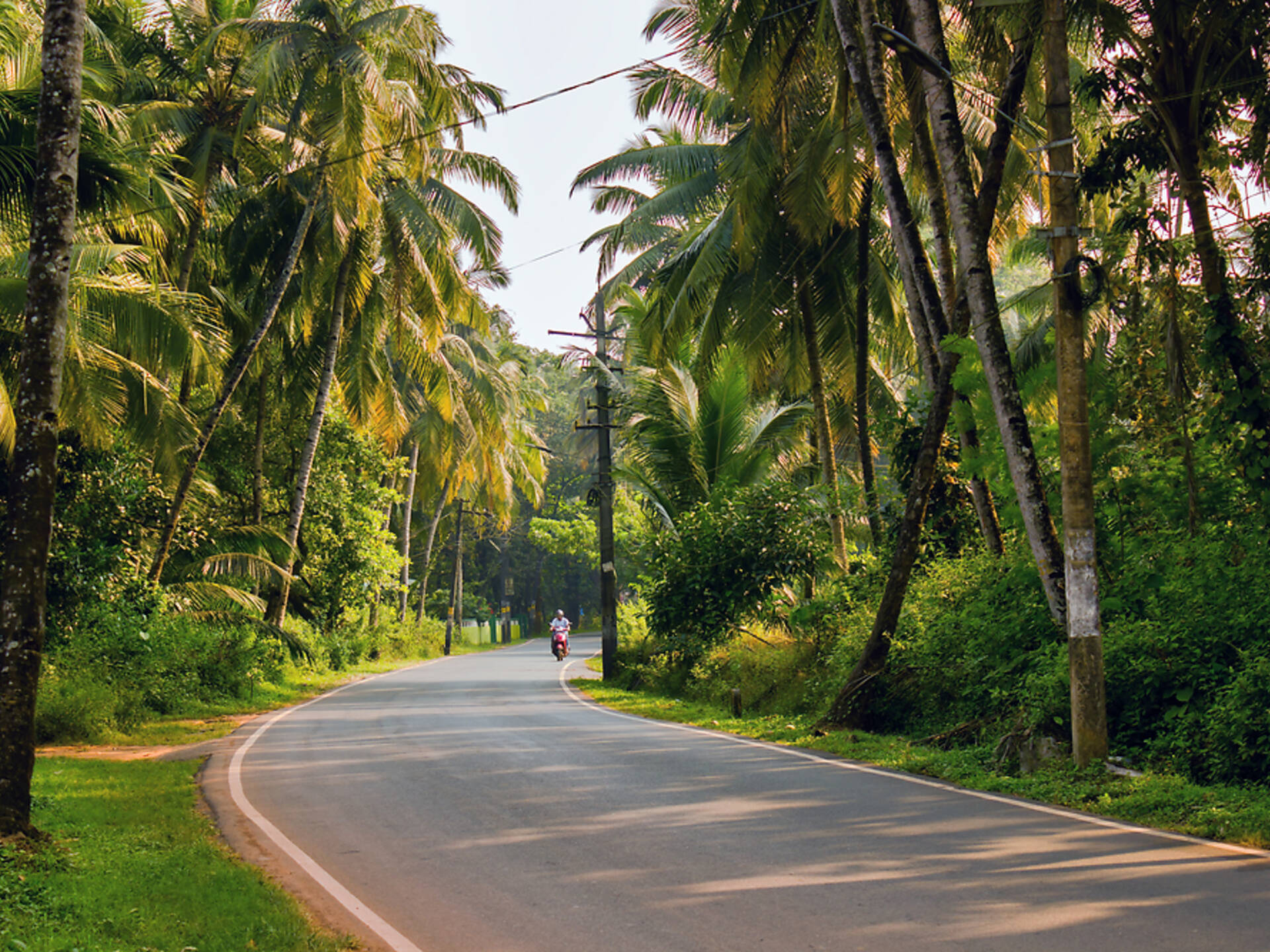 12 Best Road Trips to Take in India in 2023