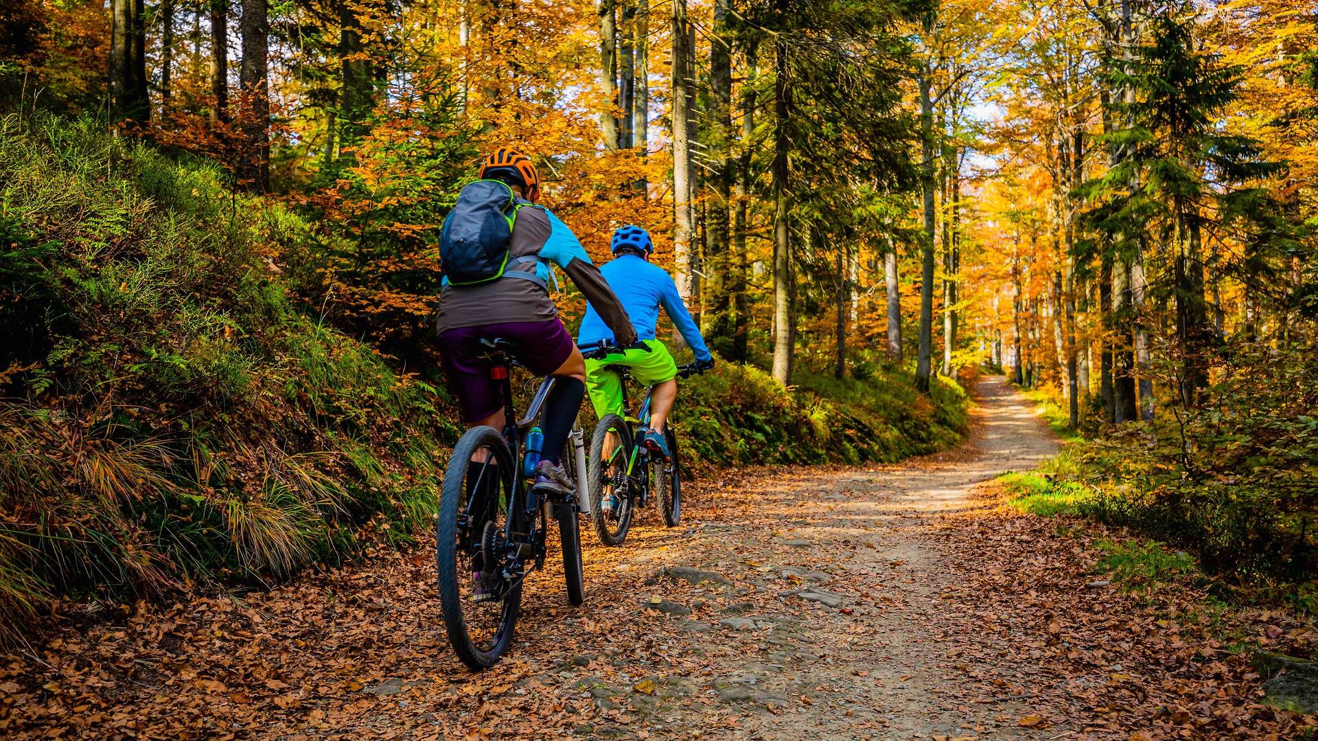 17 Best Chicago Bike Trails for a Long Ride