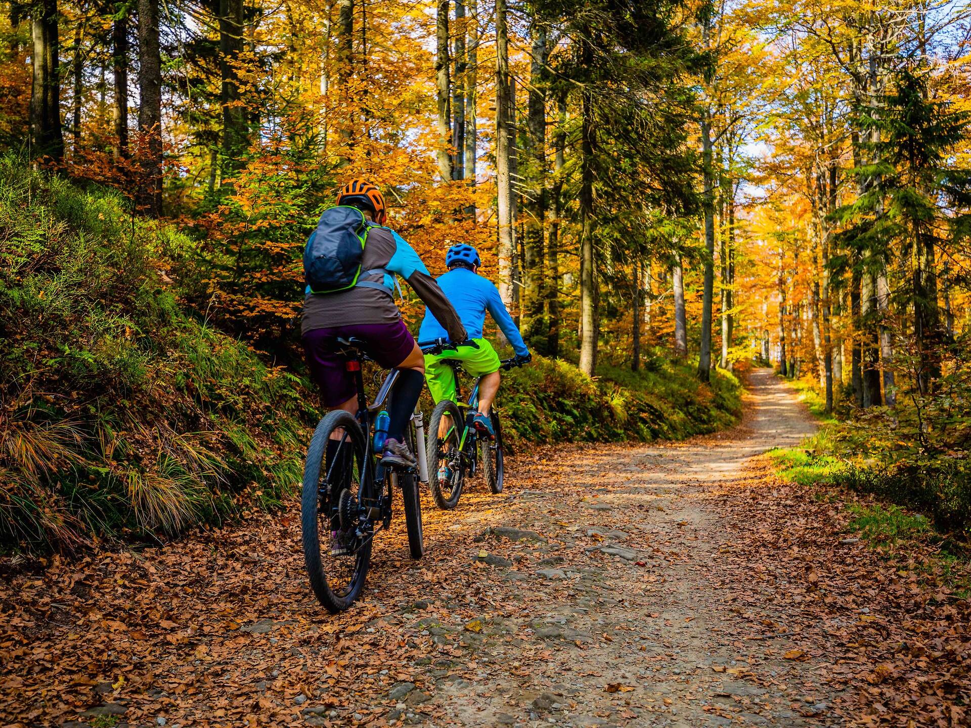 17 Best Chicago Bike Trails for a Long Ride