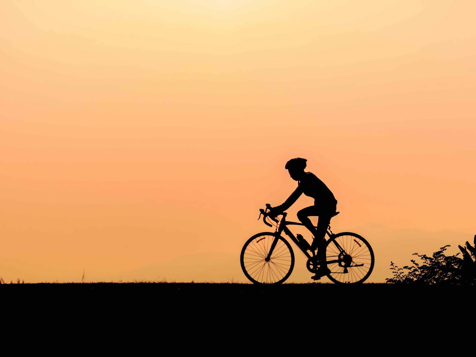 17 Best Chicago Bike Trails for a Long Ride