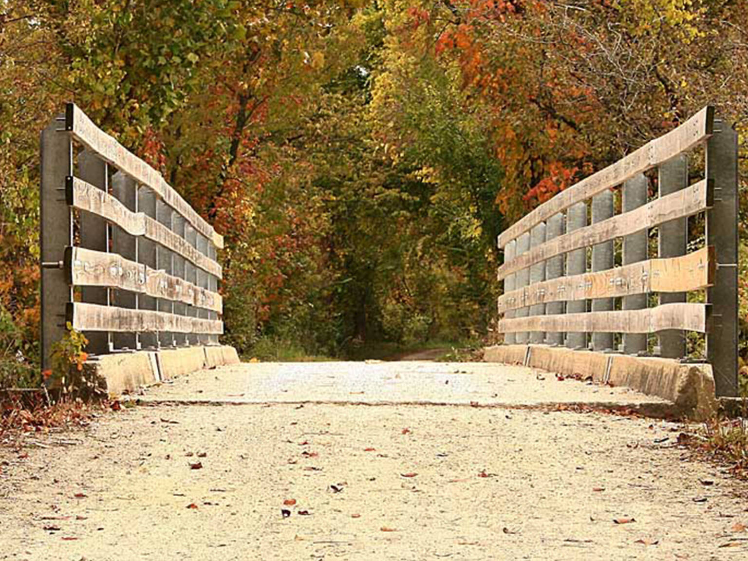 15 Chicago Bike Trails Where You Can Take a Long Ride