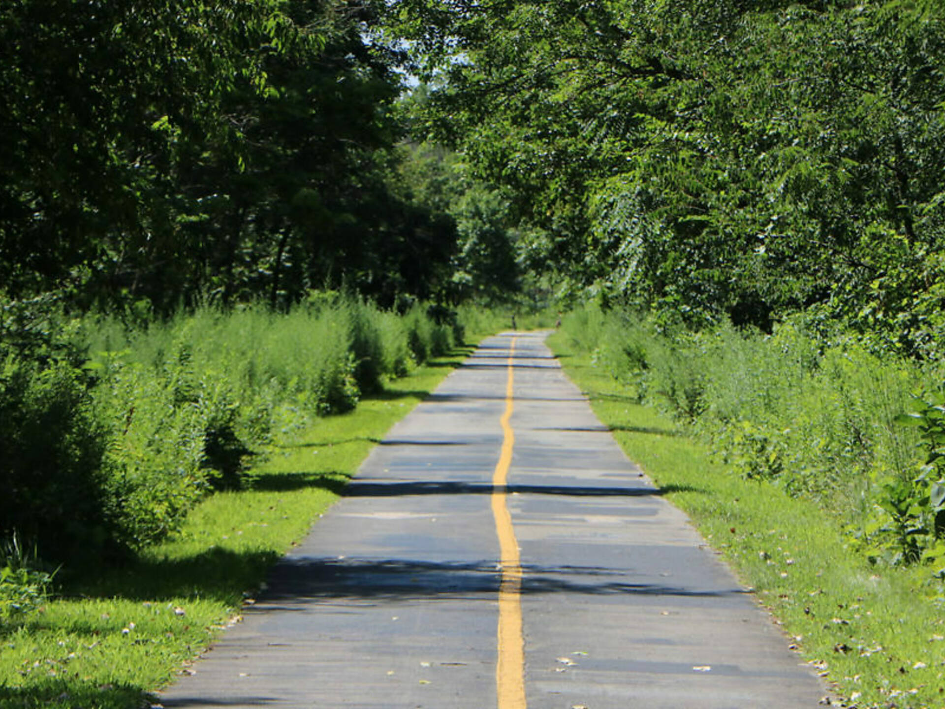 15 Chicago Bike Trails Where You Can Take a Long Ride