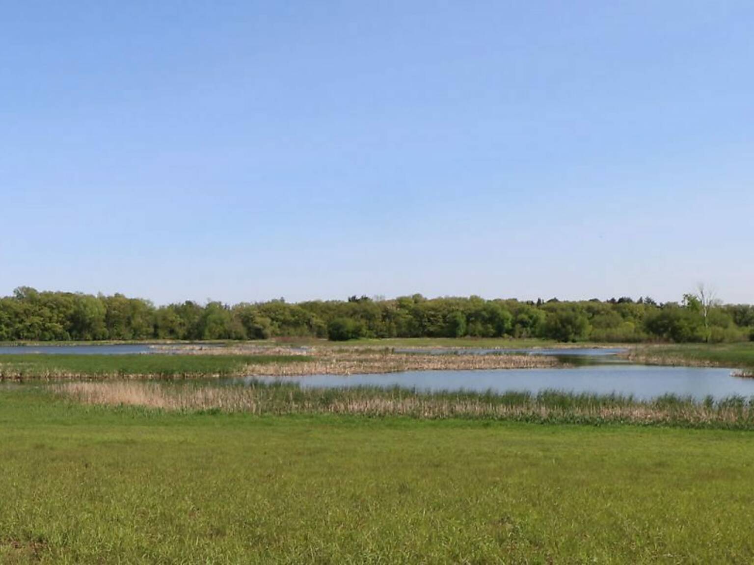 15 Chicago Bike Trails Where You Can Take a Long Ride