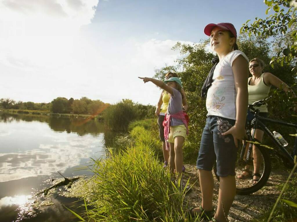15 Chicago Bike Trails Where You Can Take a Long Ride