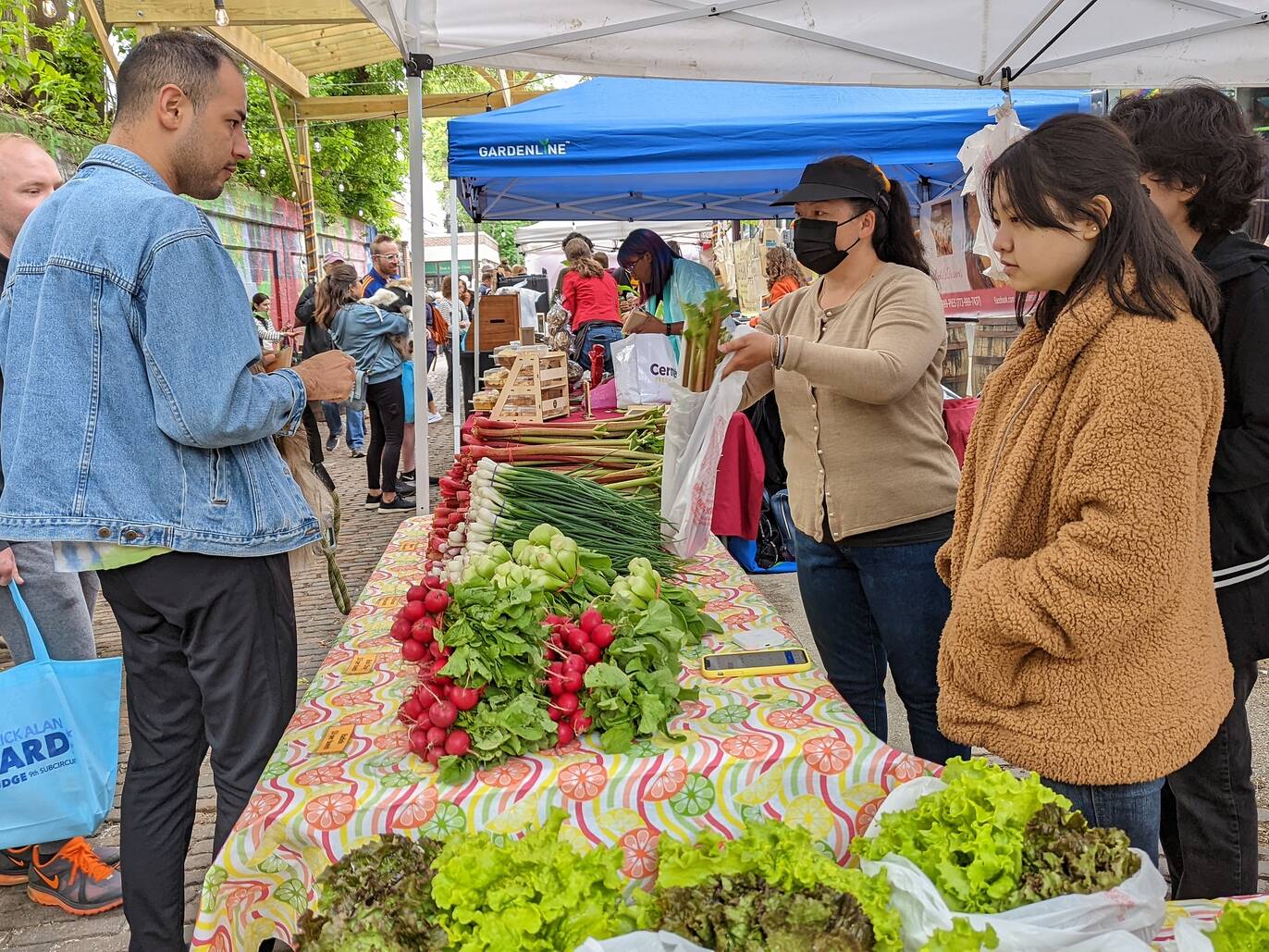 23 Best Farmers Markets in Chicago to Explore