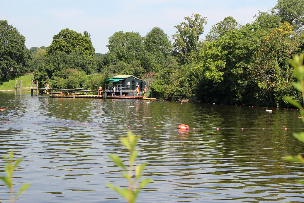 Hampstead Heath Wild Food Walk | Things to do in London