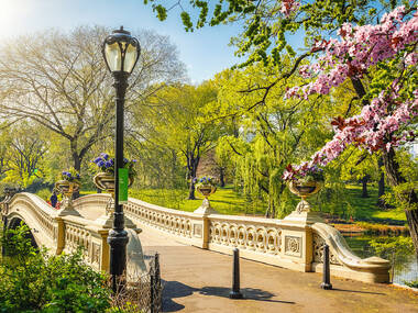 37 Best May Events in NYC 2025 For Things To Do