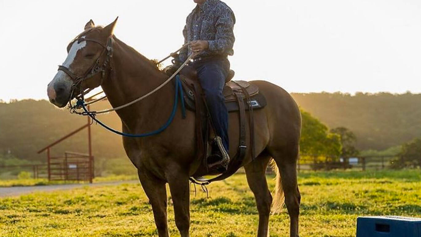 17 Best Farm Stays in the United States | Farm Vacations