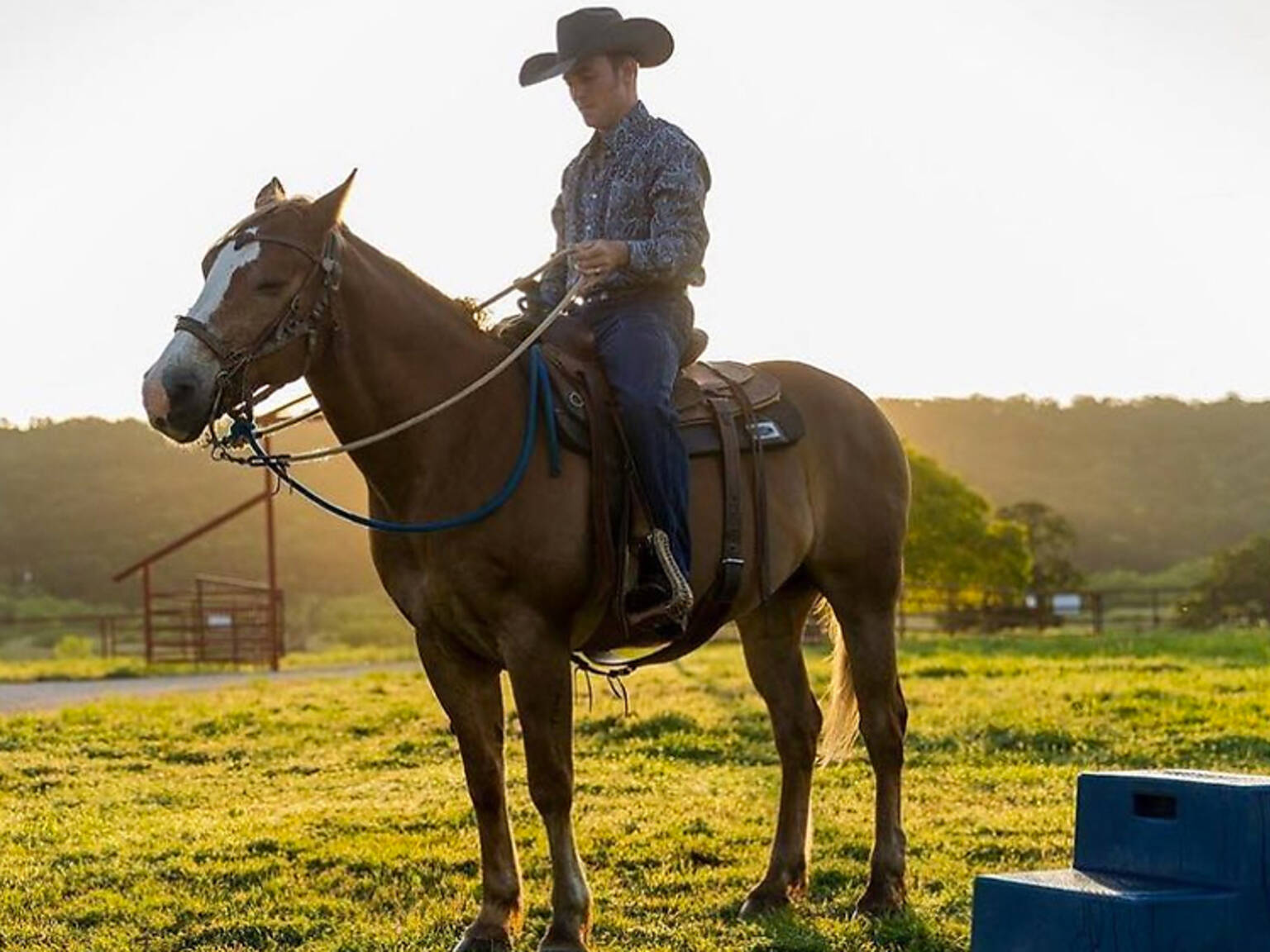 17 Best Farm Stays in the United States | Farm Vacations