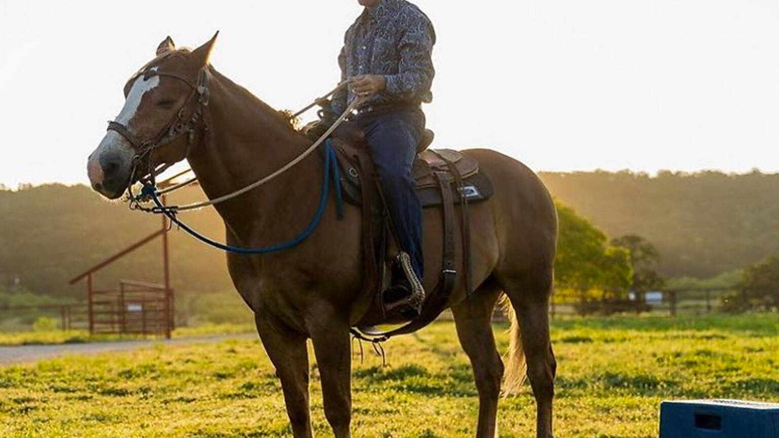 17 Best Farm Stays in the United States | Farm Vacations