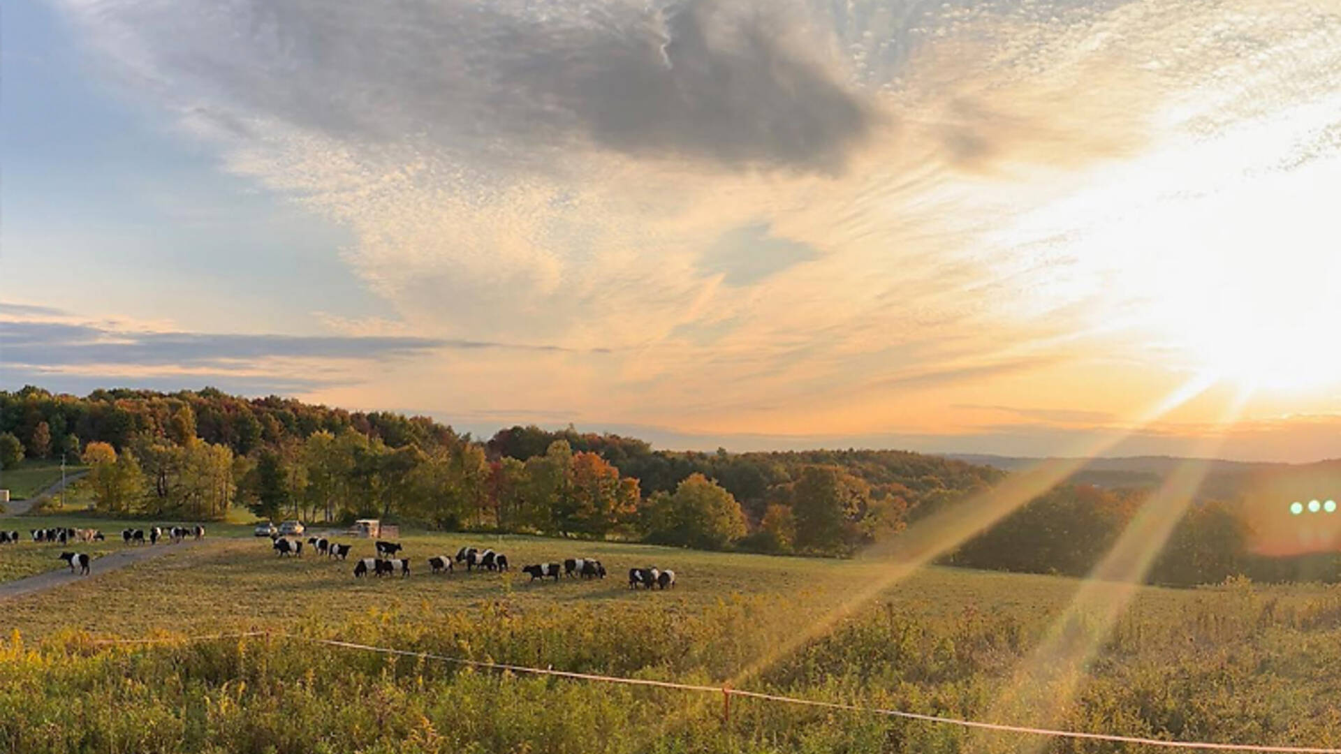 17 Best Farm Stays in the United States | Farm Vacations