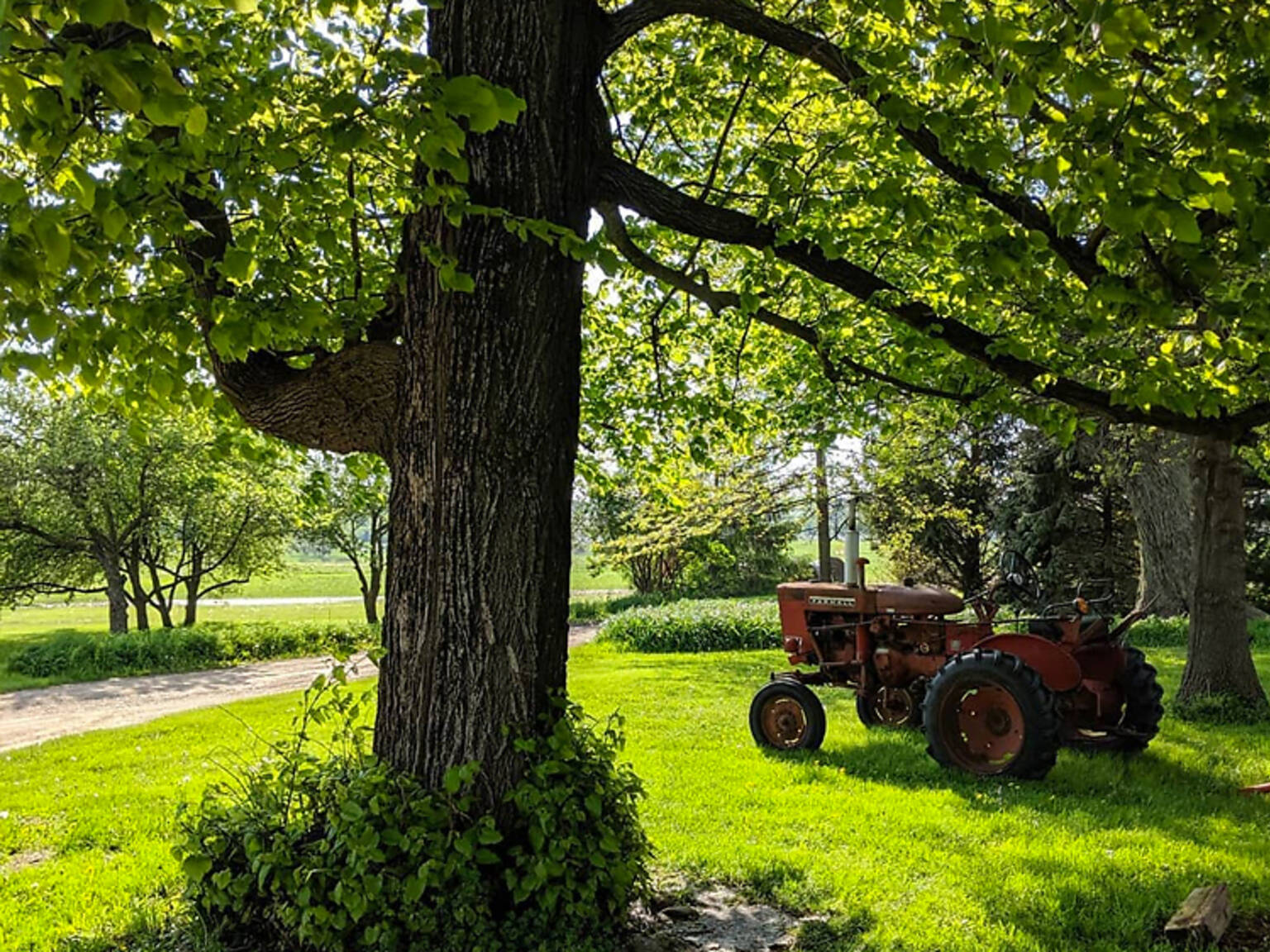 15 Best Farm Stays in the United States | Farm Vacations