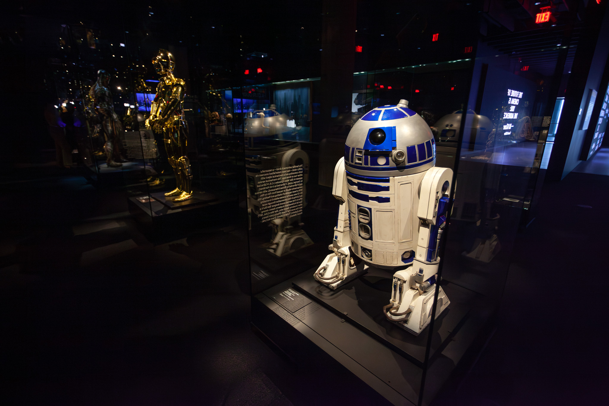 A Day of Celebrating the Force at the Academy Museum | Things to do in ...