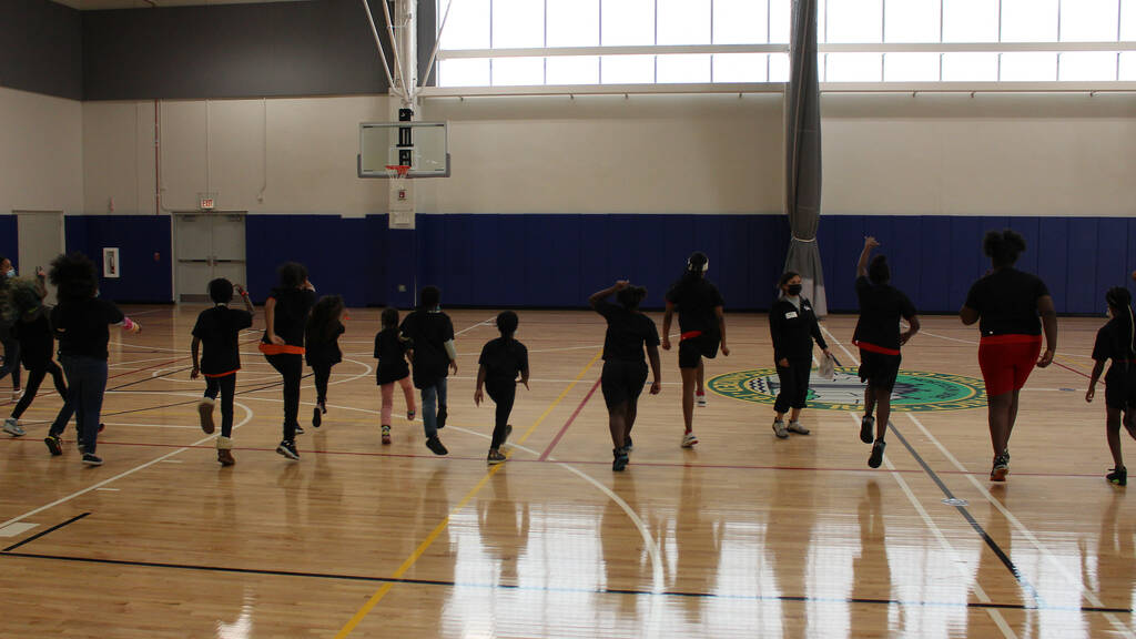 17 Best Places to Play Pickleball in Chicago