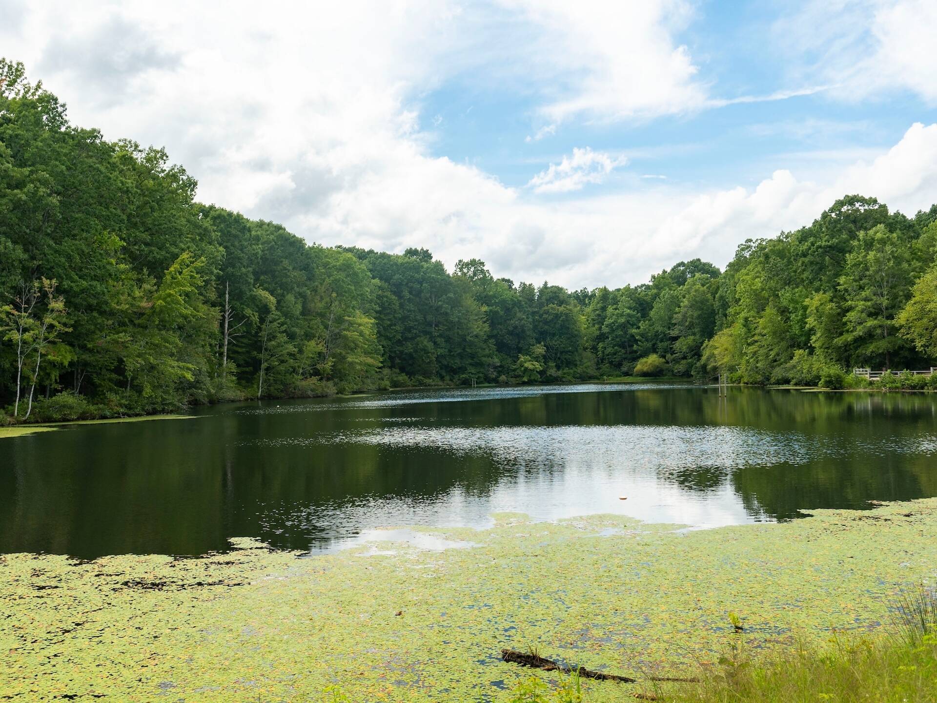 11 Best Parks in Charlotte, North Carolina