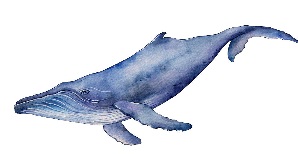 10 wild animals that call NYC home
