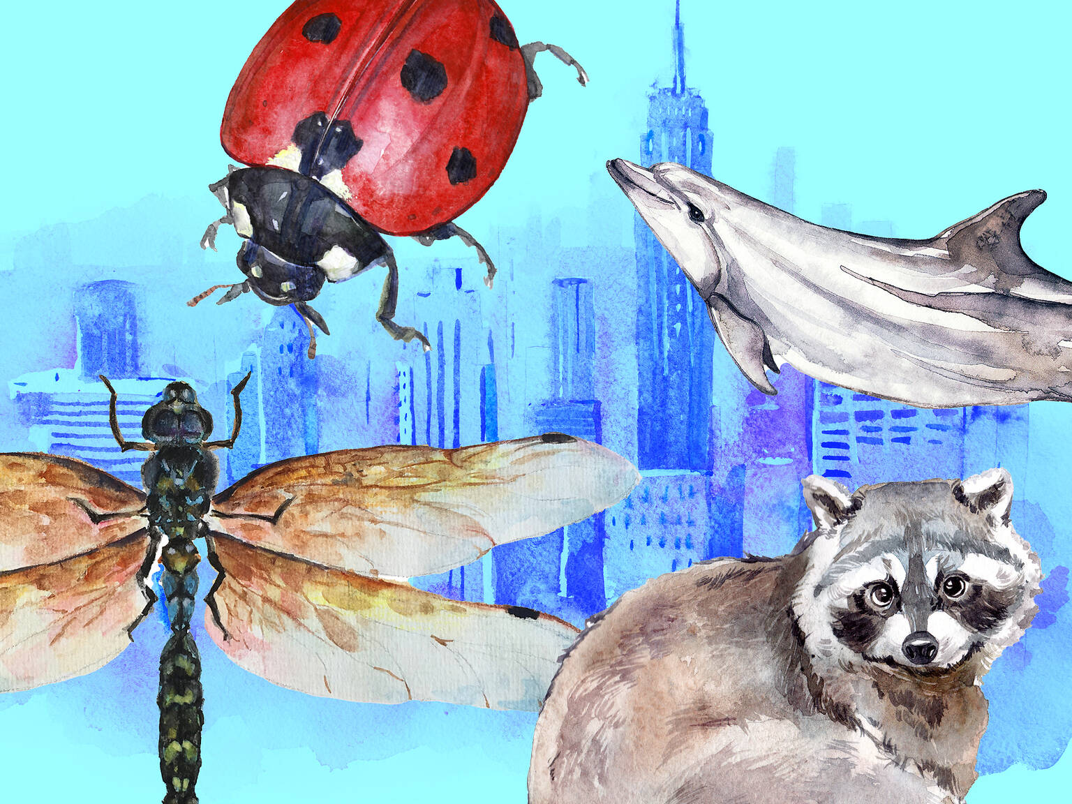 10 wild animals that call NYC home