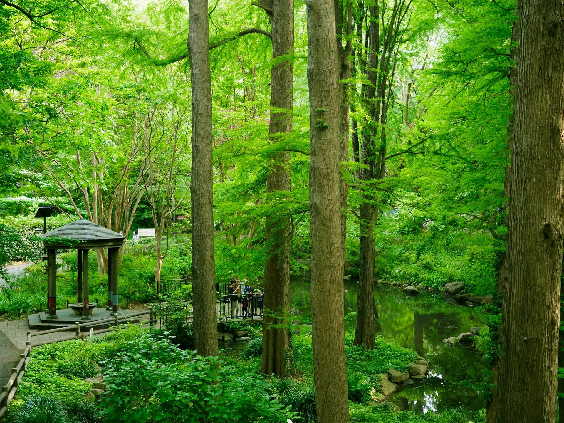 9 best parks and grand green spaces to enjoy in Tokyo