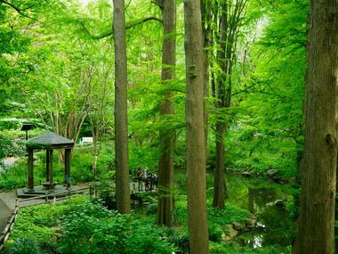 9 best parks and grand green spaces to enjoy in Tokyo