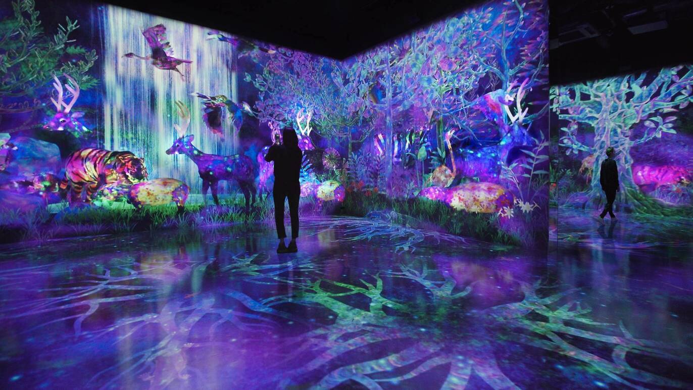 Here are all the amazing teamLab exhibitions in Japan