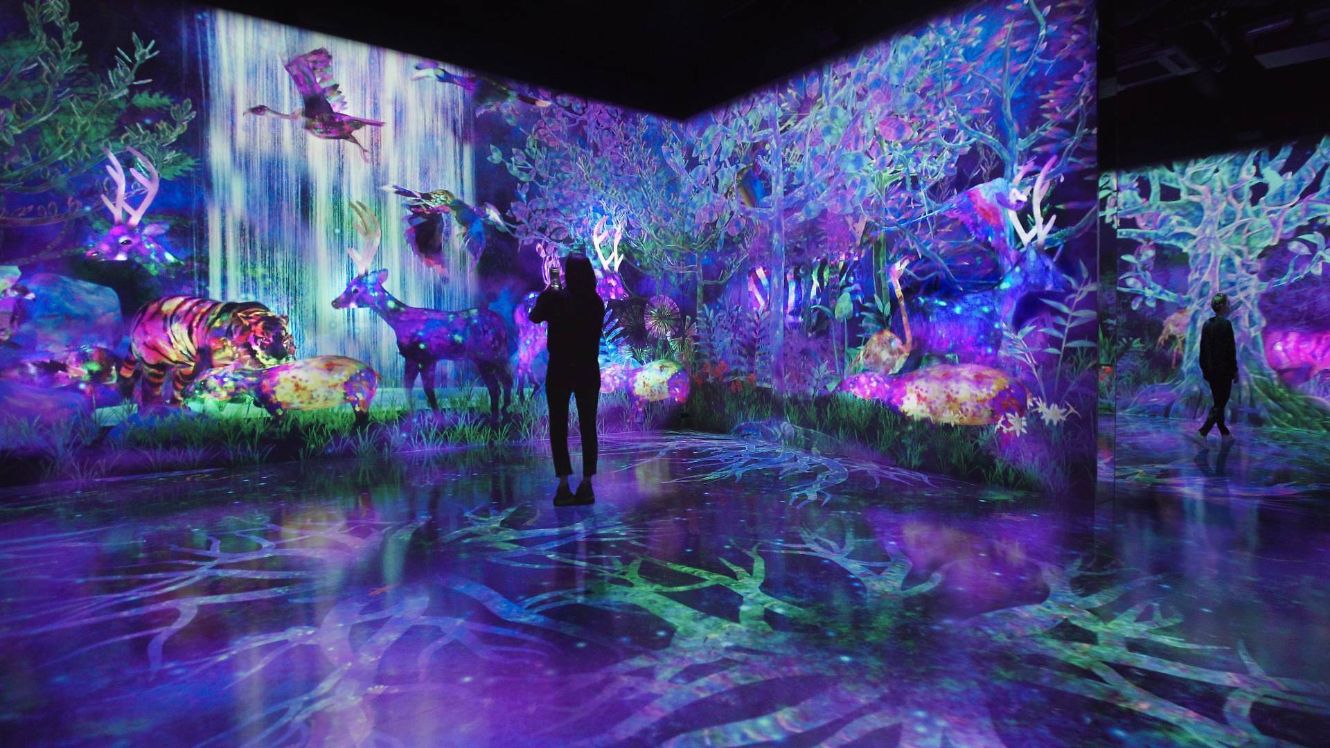 Here are all the amazing teamLab exhibitions in Japan