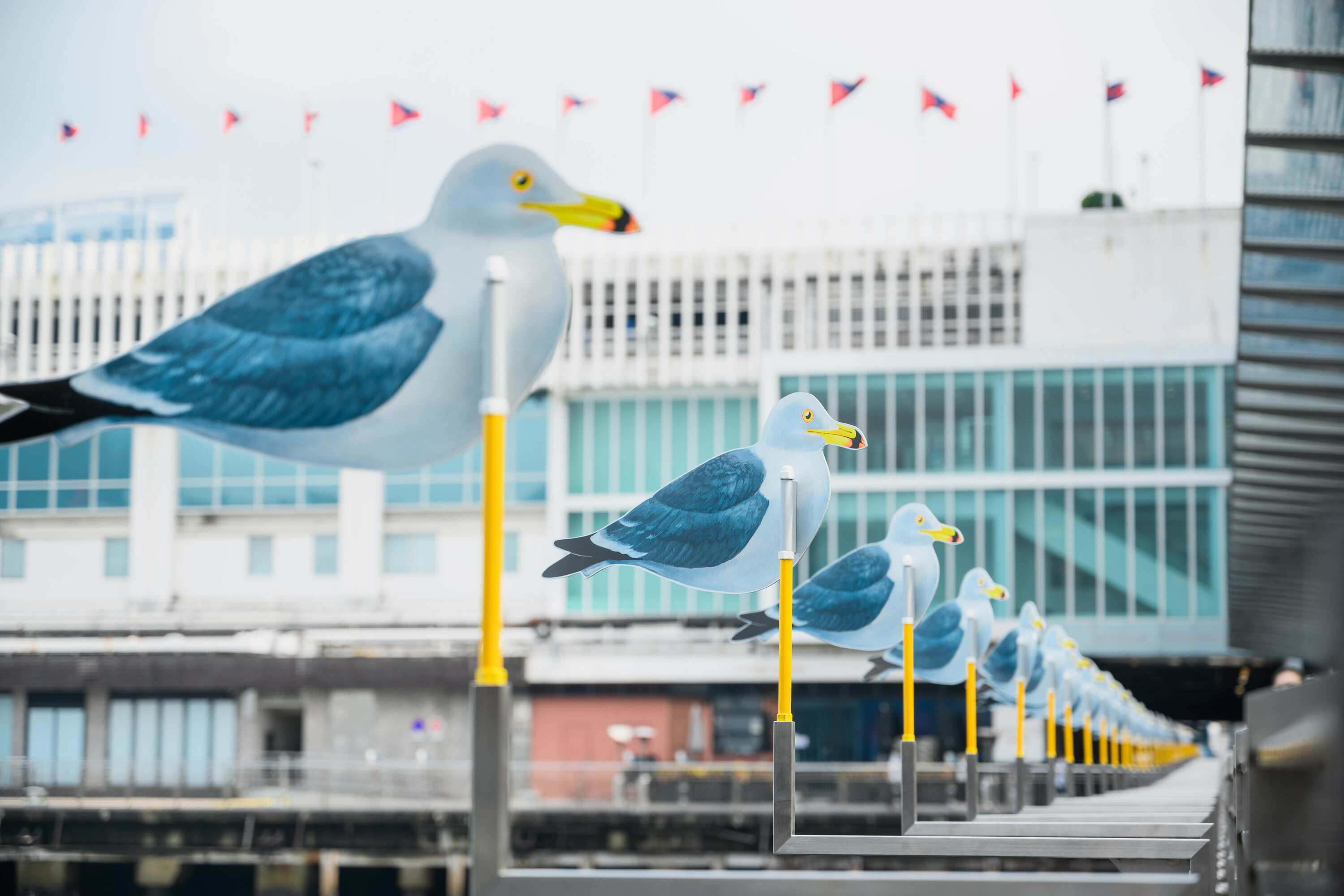 Seagulls by the Harbour | Art in Hong Kong