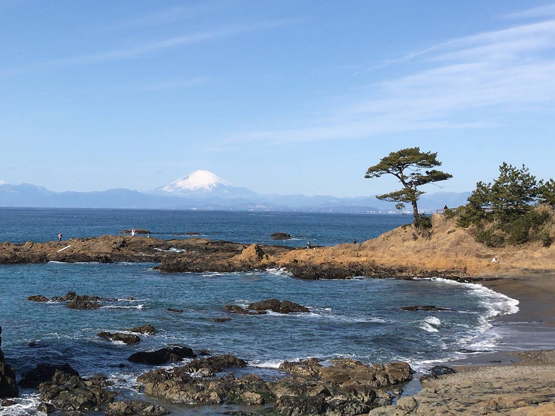 Time Out Tokyo | The best things to do in Tokyo