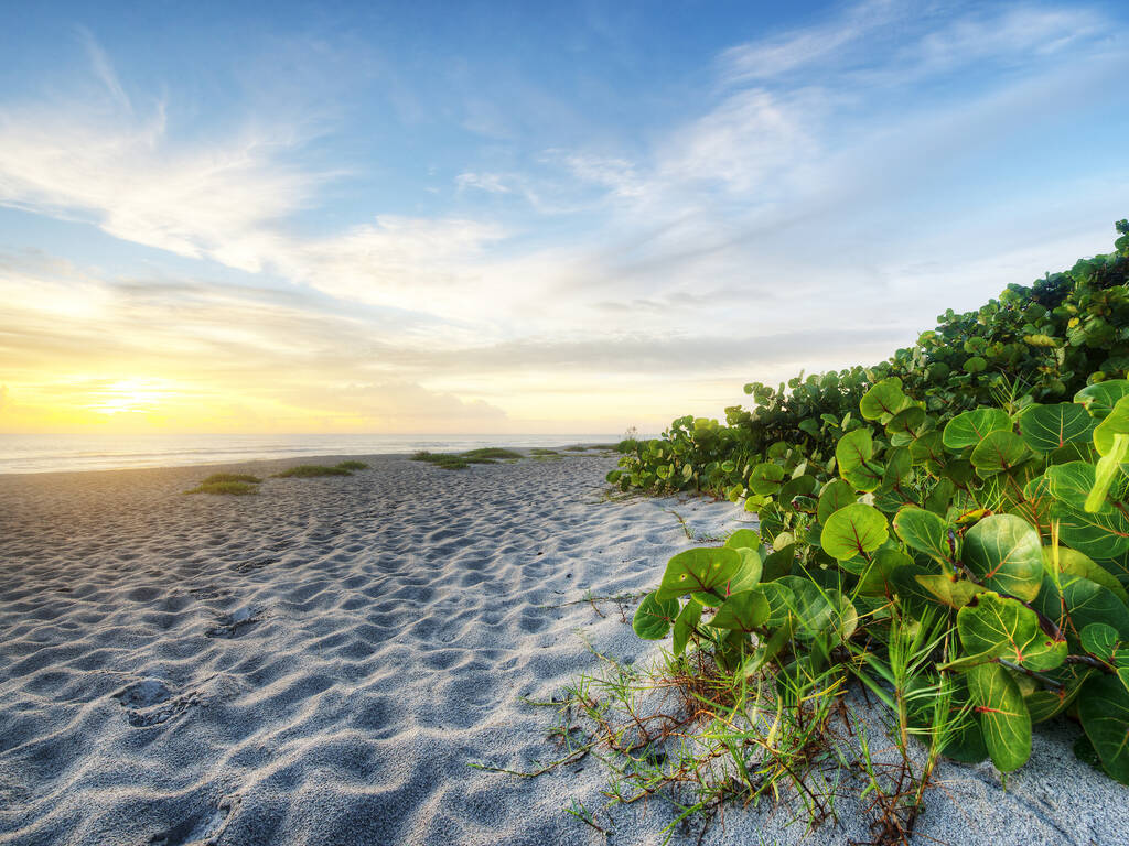 14 Best Beaches Near Orlando for Quick Getaway and Long Weekends